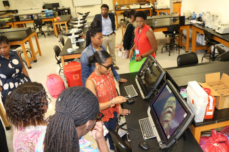 STEM Medical Technology Program - Tree of Life Healthcare